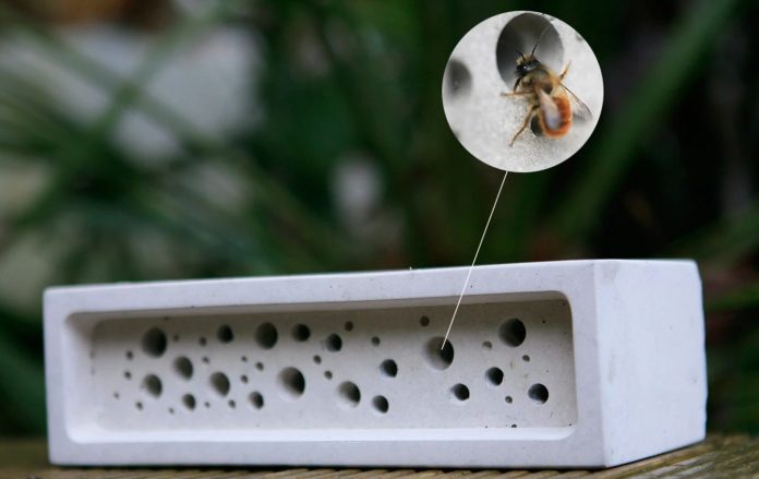 Bee Bricks That Help Thousands of Solitary Bees Are Now a Requirement ...