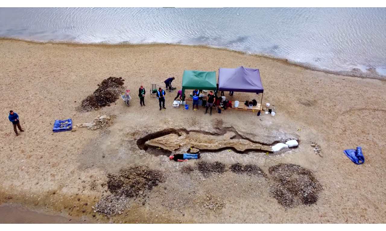 One of the Largest ‘Sea Dragon’ Fossils Ever Found in Britain Unearthed ...