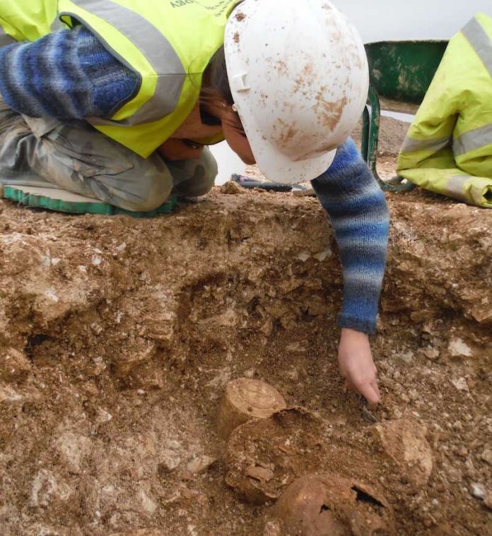 ‘Most Important Prehistoric Discovery in a Century’ Revealed by British ...