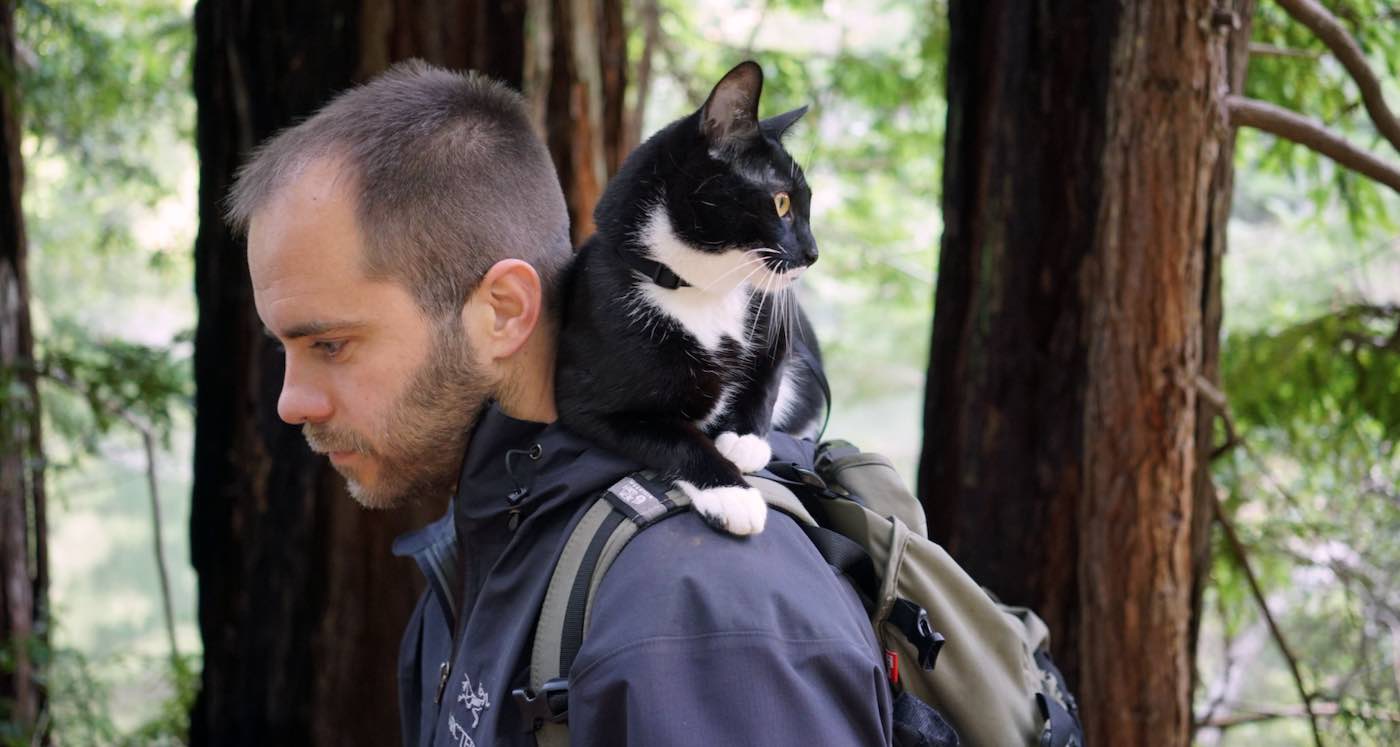 Watch the Love Between Men and Their Cats in New Film Purr-fect for ...