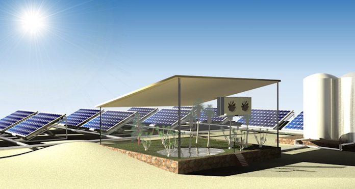 These Solar Panels Also Pull in Water Vapor to Grow Crops in the Desert