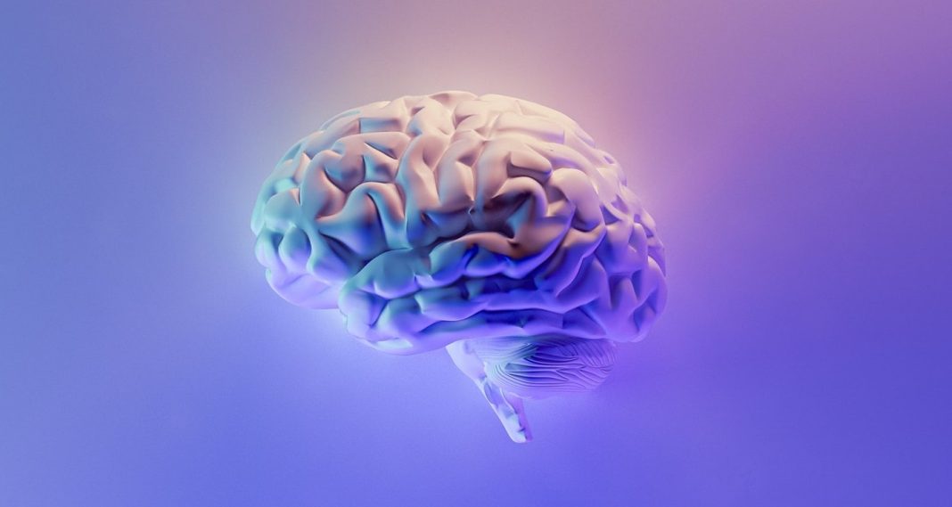 The Mechanism Behind Memory Loss in Aging Was Identified By Scientists ...