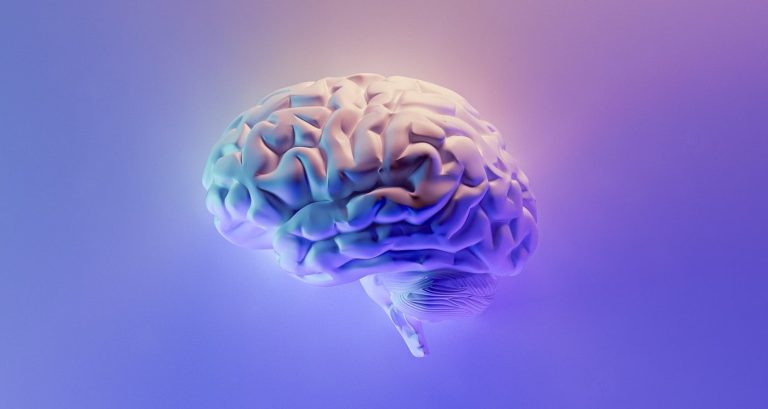 The Mechanism Behind Memory Loss in Aging Was Identified By Scientists ...