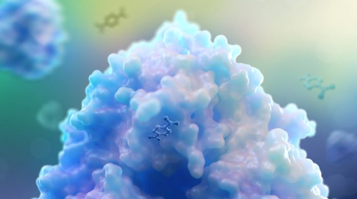 New Enzyme Discovery is Another Leap Towards Dissolving Plastic Waste ...