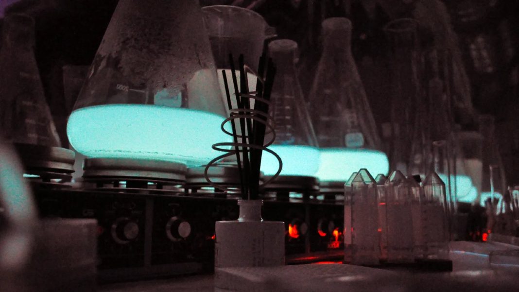 French Town to Light its Streets With Bacteria Luminescence That Needs ...