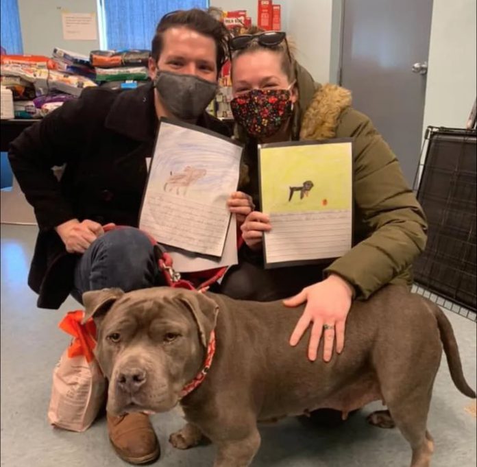 Students Write Adorable Letters on Behalf of Shelter Animals to Boost ...