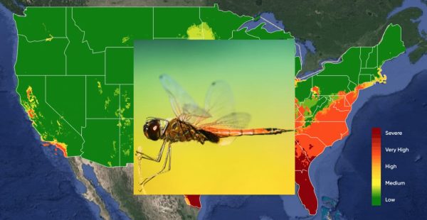 New Online Map Shows You the Local Mosquito Forecast for the Week