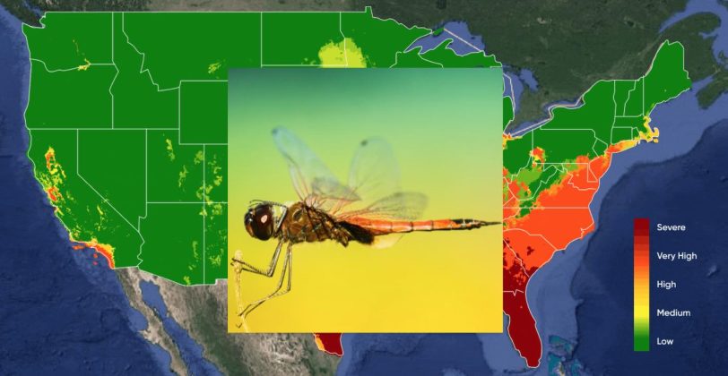 New Online Map Shows You the Local Mosquito Forecast for the Week