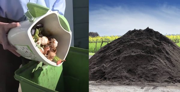 Hundreds of US Cities Composting Their Food Waste Helps Farmers and ...