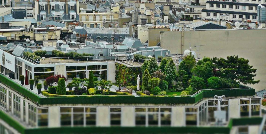 European Cities Are Turning Rooftops Into Community and Sustainability ...