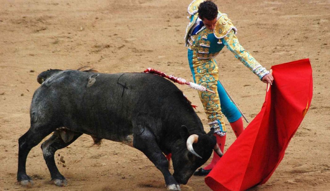 Mexico City’s Ban on Bullfighting Could be Death Knell to the ‘Sport’