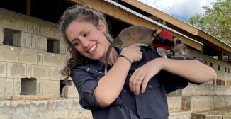 Rats Trained to Carry Tiny Backpacks Into Earthquake Zones – So Rescue ...