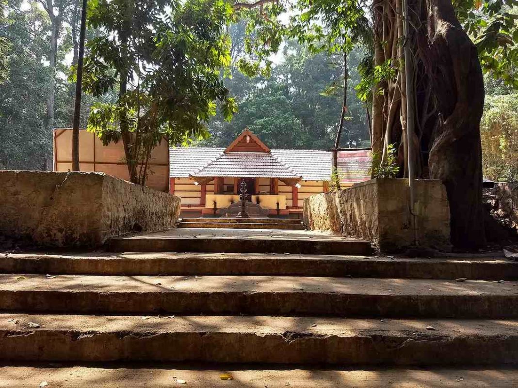 Religious Practices Have Preserved 125,000 Sacred Groves in India ...