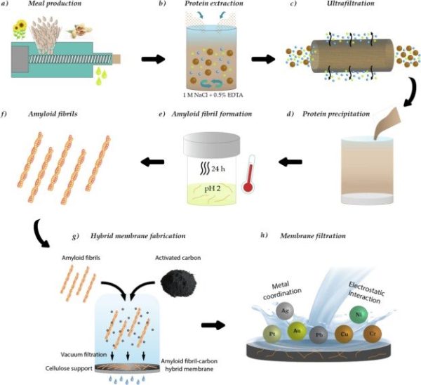 Scientists Discover Simple Way to Remove Heavy Metal From Water Using ...
