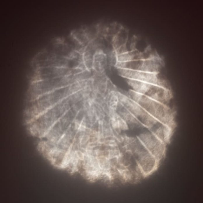 Rare Chinese 'Magic Mirror' That Projects Hidden Image Rediscovered ...