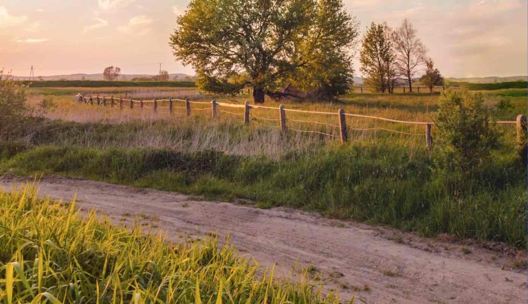 Giving Bits of Farmland Back To Nature Does Not Reduce Crop Yields ...