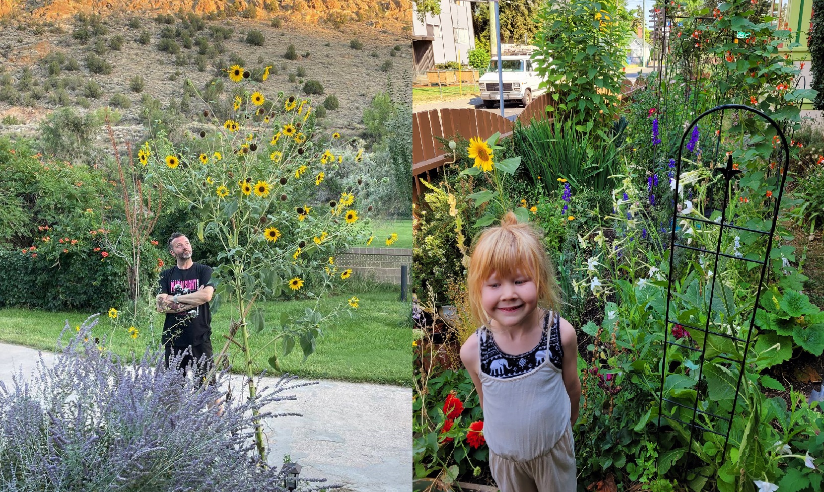 Good Gardening Week 7: What Are Your Best Gardening Hacks? Check Out ...