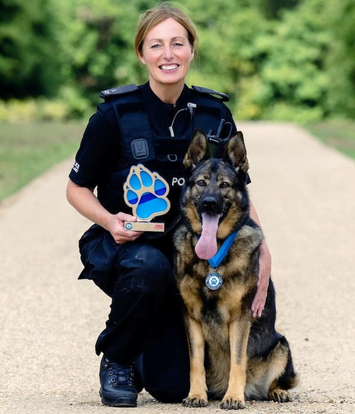 Police Dog That Saved 38 Lives During 8-year Career is Honored for ...