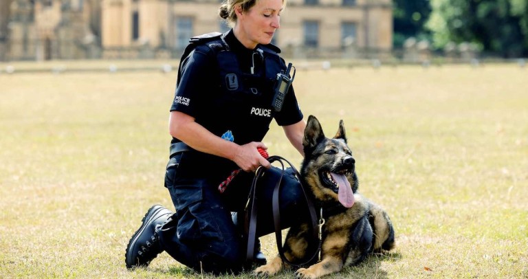 Police Dog That Saved 38 Lives During 8-year Career is Honored for ...