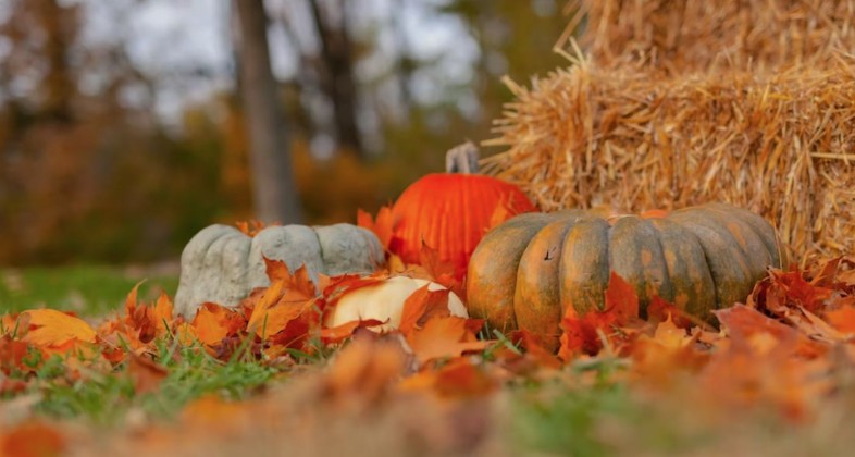 “October, baptize me with leaves! Swaddle me in corduroy. O autumn ...