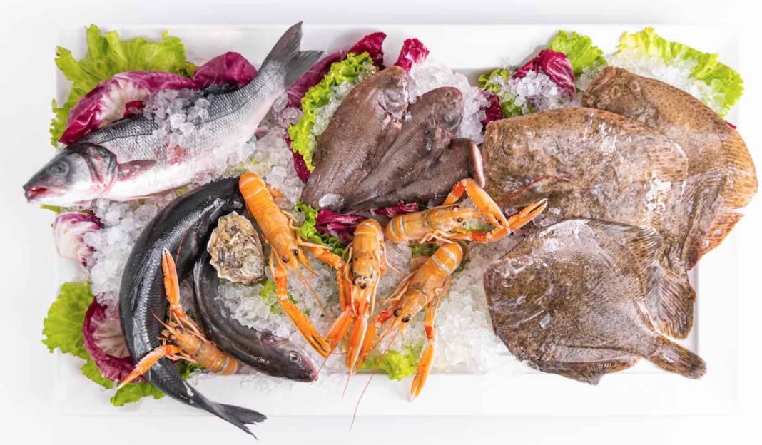 Holy Mackerel! Fish Really Is Brain Food – Even if You Only Eat a Small ...