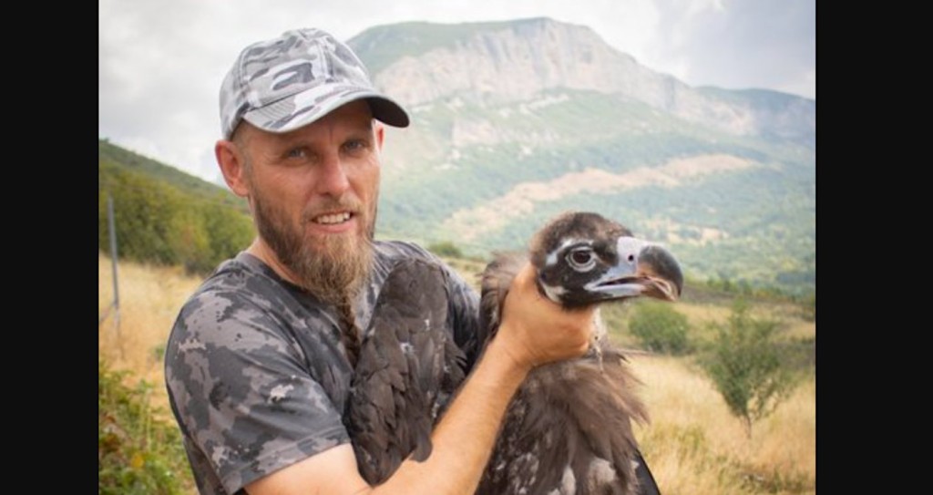 70 Vultures Released Into Bulgaria to Start Wild Population After Dying ...