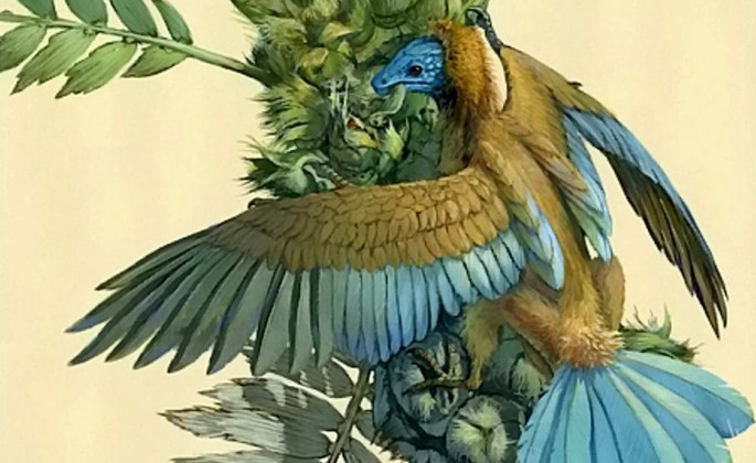 This 120-Million Year Old Bird/Dinosaur Hybrid Is Teaching Us How Birds ...