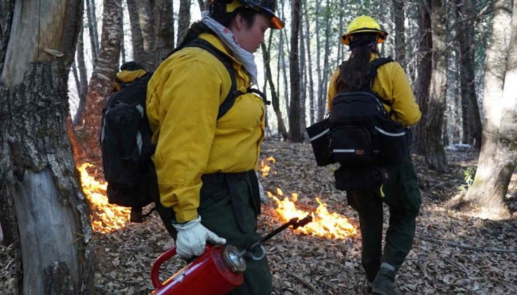 California Tribe Reignites Age-Old Practice of Intermittent Burns to ...