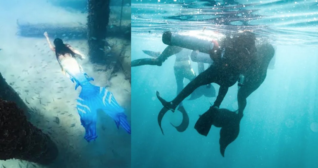 Three Mermaids Save a Scuba Diver From Drowning: ‘Not Just Pretty Tails ...