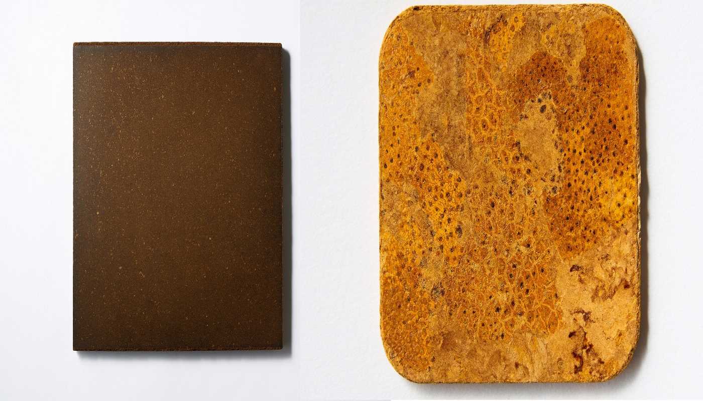 These Guys Make Edible Cement From Food Waste – And You Can Literally ...