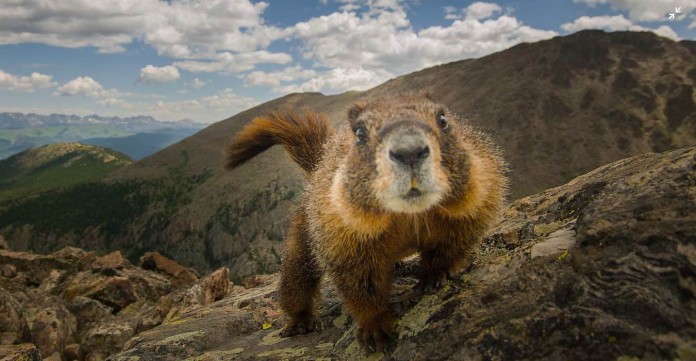 “Blessed are the curious for they shall have adventures.” – Lovelle ...