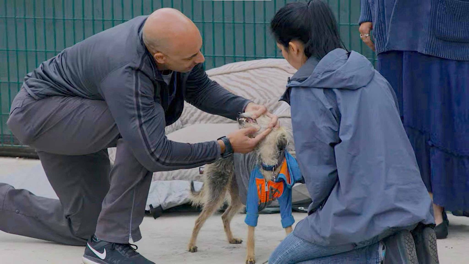 This Crew of Street Veterinarians Treat the Pets of L.A.'s Homeless ...