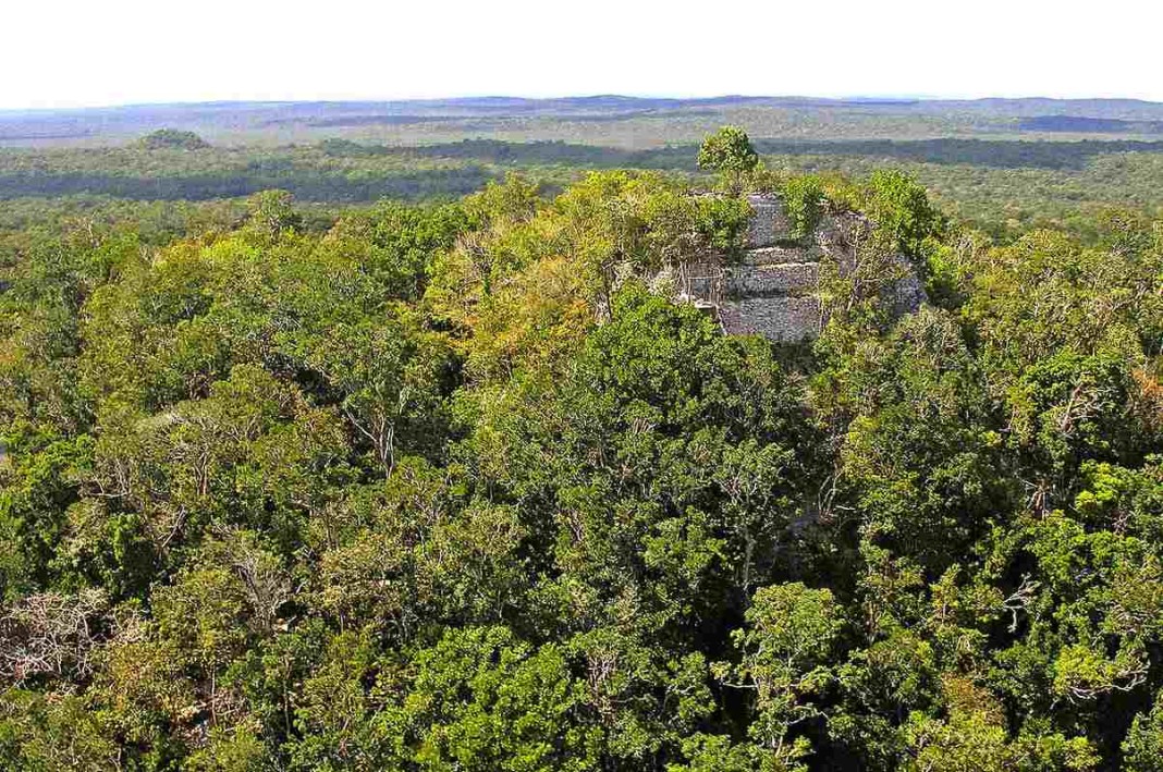 Hundreds of Mayan Cities and Towns with Ball Courts and Roads ...