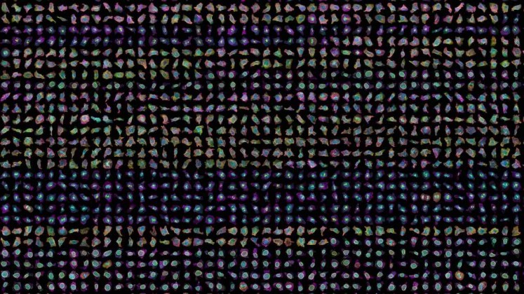 Interior Design of Human Cells is Mapped for the First Time, a ...