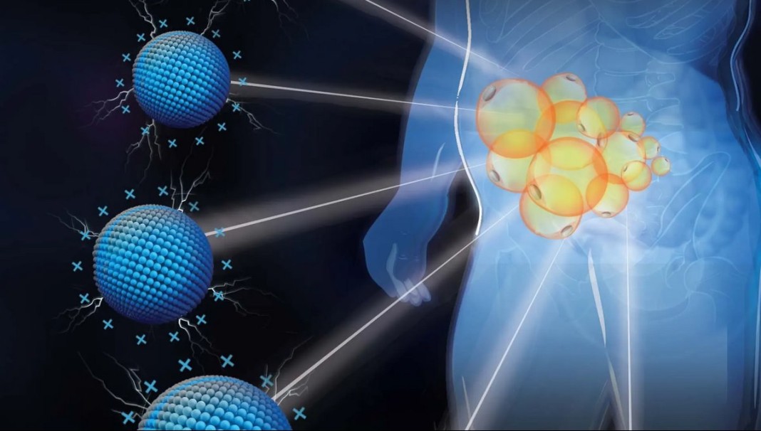 Breakthrough Obesity Treatment in Early Research Can Target Bad Fat ...