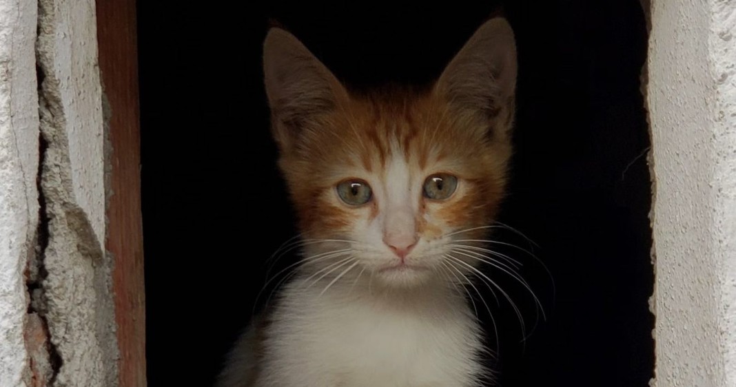 “If someone asks me what inspires me, I always say, ‘That which is ...