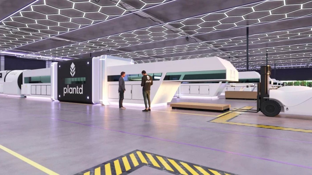 Making Building Materials Out of Fast-Growing Grasses Capture More ...