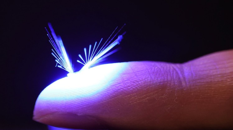 To Boost Pollination, Tiny ‘FAIRY Robots‘ Can be Propelled by the Wind ...