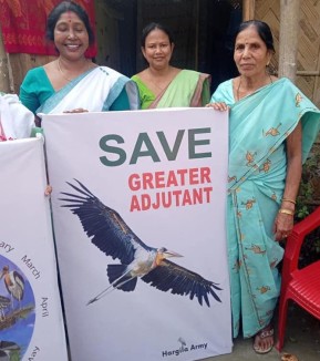 An Army of 10,000 Women Saved India’s Rarest Stork – While Giving Each Other a New identity
