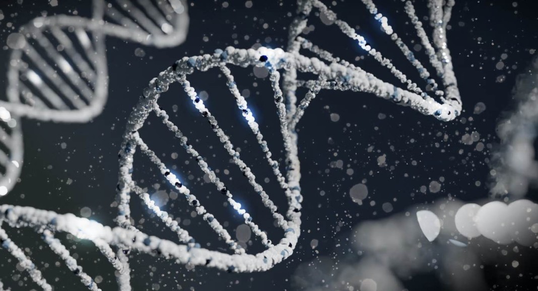 Scientists Discover a Small Strand of RNA to Be Key to Fighting Cancer ...