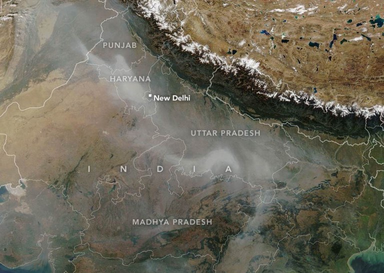 Indian Startup Uses Rice Crop Waste to Make Biodegradable Foam ...