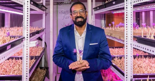 Indian Man Grows Precious Saffron In a Shipping Container–Wants to ...