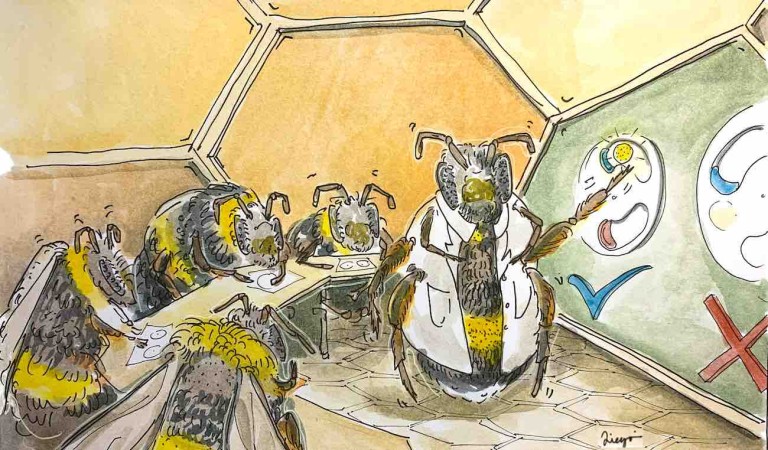 Bumblebees Learn New ‘Trends’ for Their Behavior by Watching Each Other ...