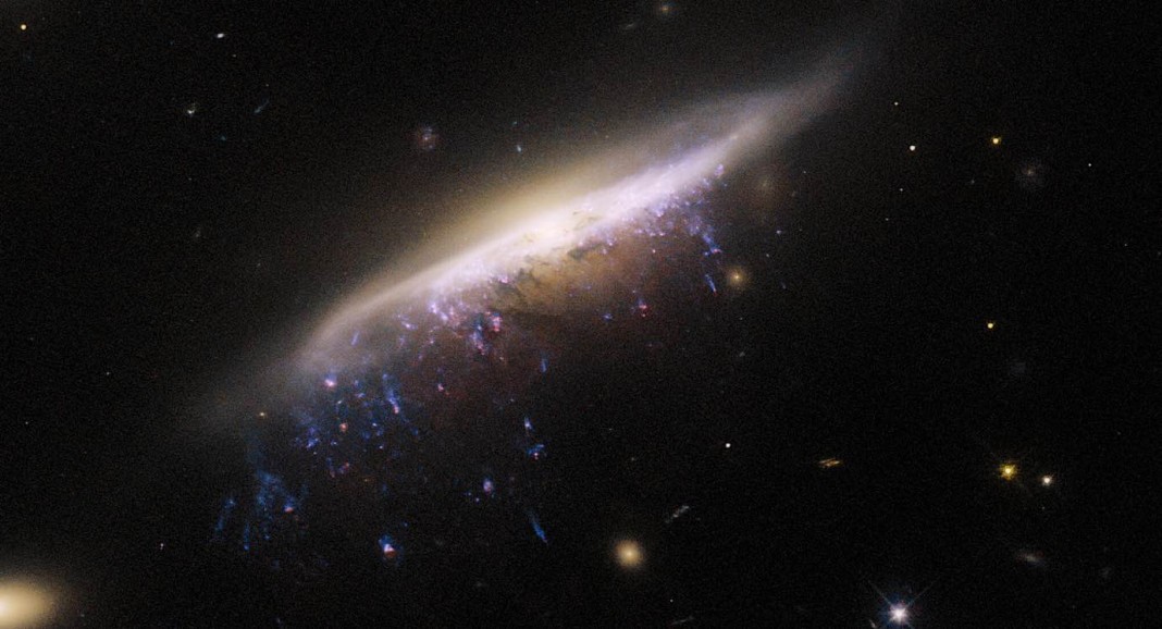 Galactic Jellyfish With ‘Dangling Tentacles’ of Star-Forming Gas ...