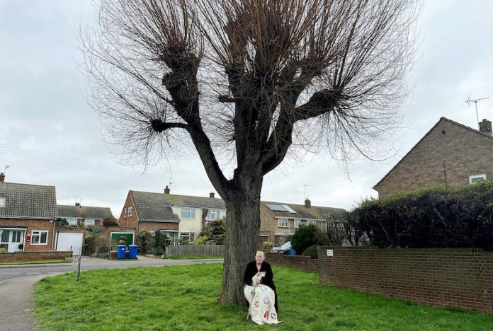 Nature-Loving Grandma Stages One-Woman Protest to Protect Tree Due to ...