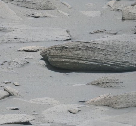 Mars Rover Camera Has Spotted Bizarre Bone-like Structures