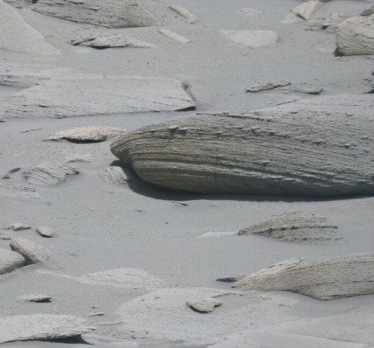 Mars Rover Camera Has Spotted Bizarre Bone-like Structures