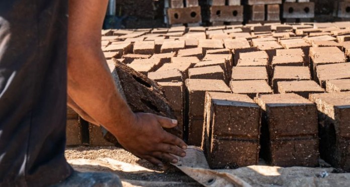 Visionary Gardener Turns Piles of Beached Seaweed Into Bricks for ...