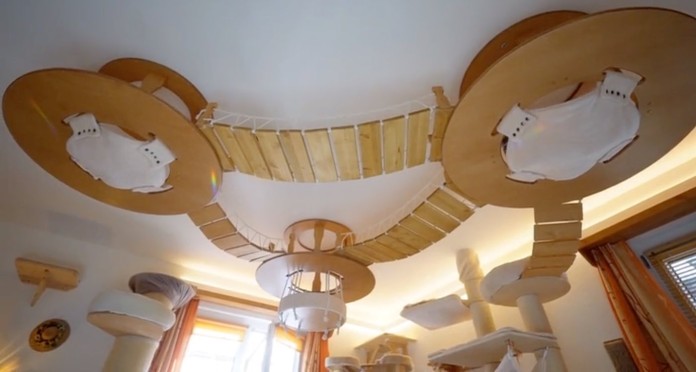 Check Out This ‘Cat Heaven’ – Built on the Ceiling to Save Space (LOOK)