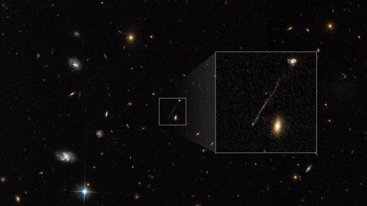 Hubble Sees a Possible Runaway Black Hole Creating a Trail of Stars